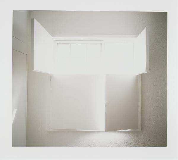 MCA - Exhibitions | Museum of Contemporary Art Chicago